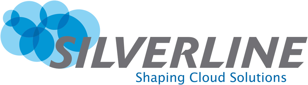 Silverline | Companies | Pamlico Capital