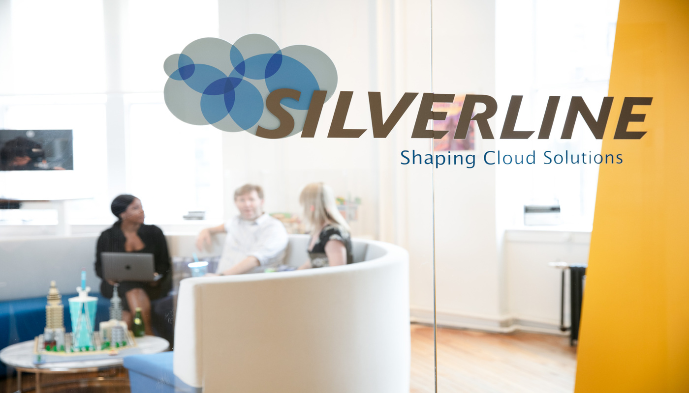 Silverline | Companies | Pamlico Capital